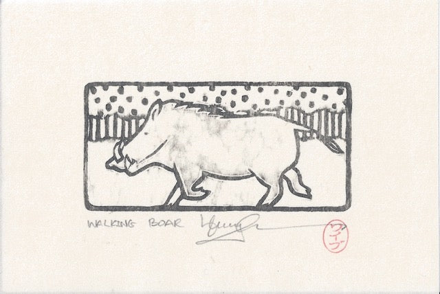 BOAR – Barbara Wybou